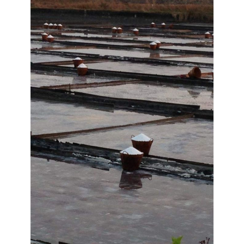 Pure and Organic Salt from Dasol Pangasinan 1kg | Shopee Philippines