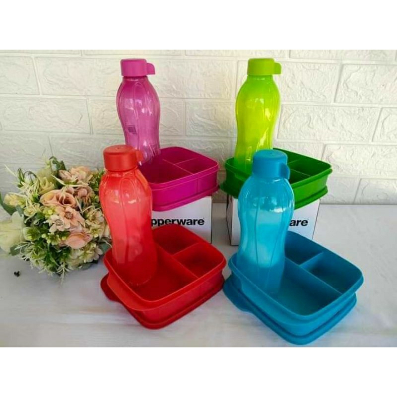 Tupperware Ecobottle and Square Divided | Shopee Philippines