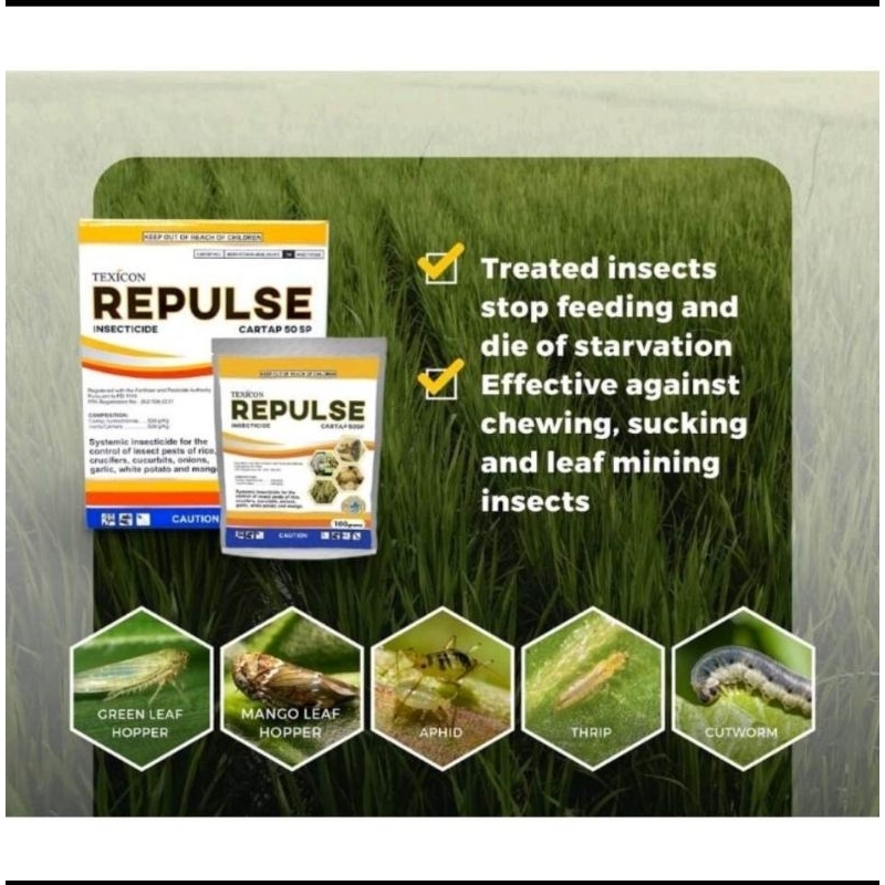 REPULSE 50SP (Cartap 50SP) 100grams x 5 (500grams) | Shopee Philippines