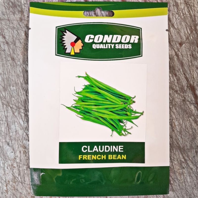 CLAUDINE FRENCH BEANS BUSH TYPE (5 GRAMS OR AROUND 25 SEEDS) CONDOR ...