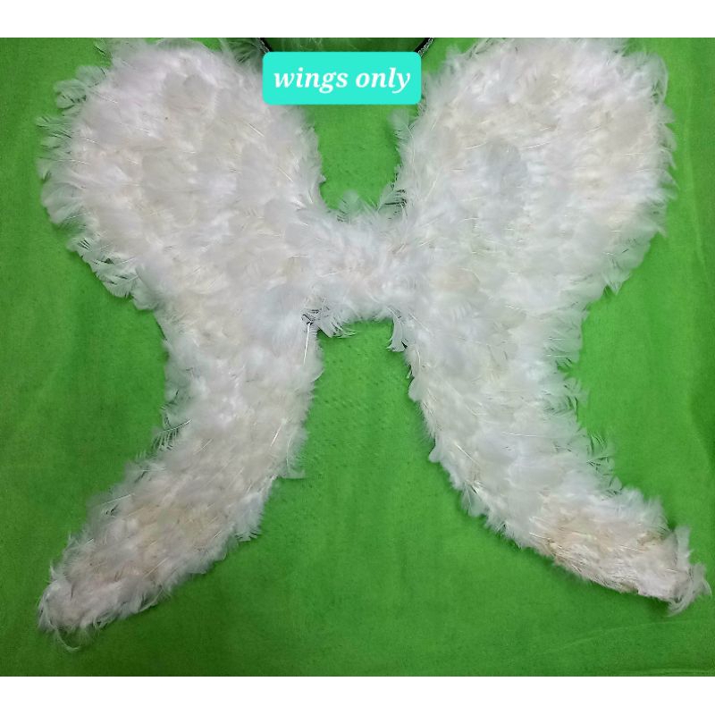 Angel wings only (feather) | Shopee Philippines