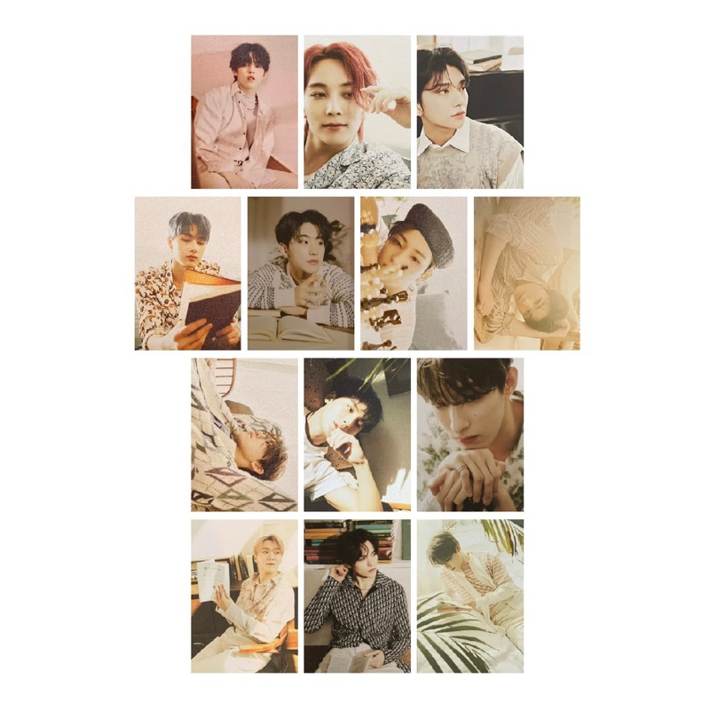 [BWK] SEVENTEEN OFFICIAL CARD - TINGI | Shopee Philippines