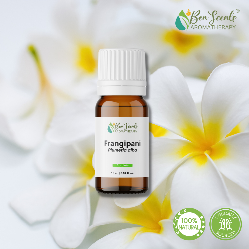 Frangipani (Plumeria Alba) Absolute Oil | Shopee Philippines