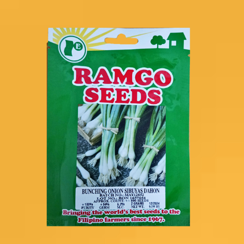 Ramgo Bunching Onion Sibuyas Dahon | Shopee Philippines