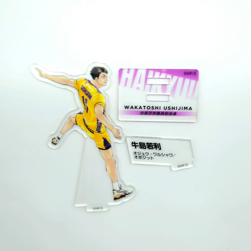 Haikyuu 10th Chronicle Standee | Shopee Philippines