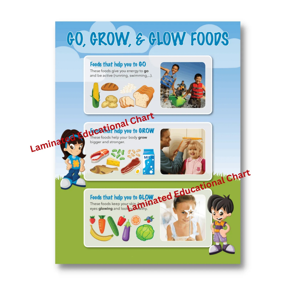 Laminated Go, Grow & Glow Foods Chart for Kids, Learners and Educators ...