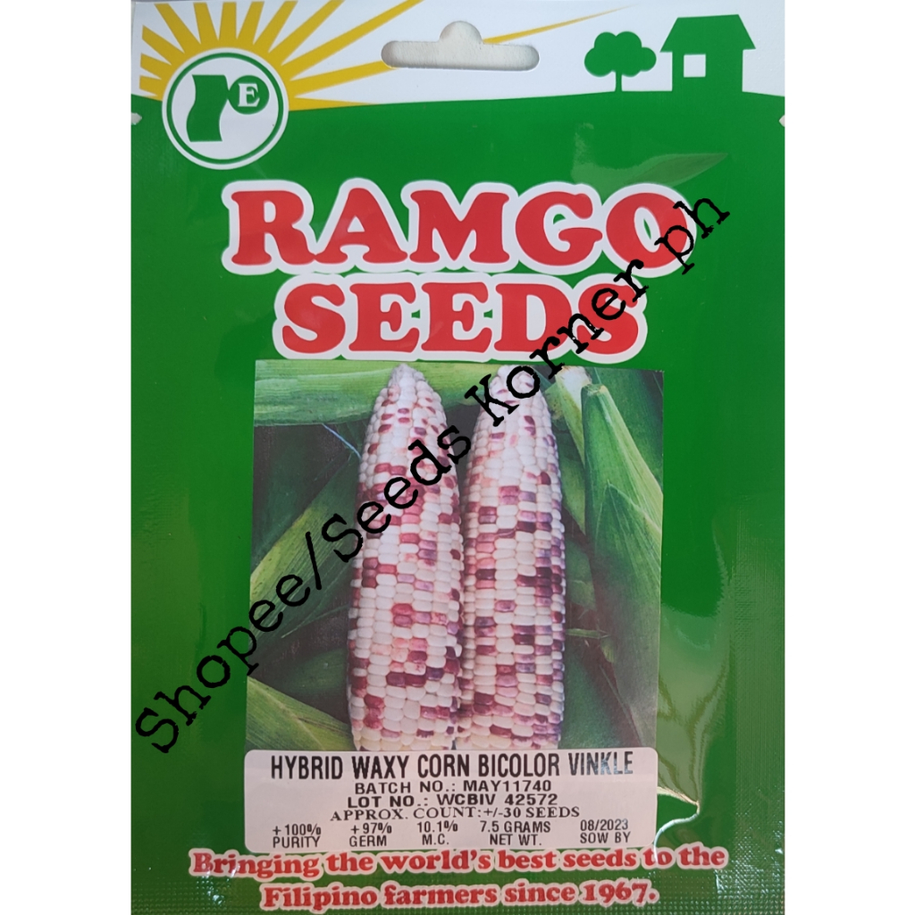 Ramgo Seeds Waxy Corn Bicolor Vinkle Original and High Quality | Shopee ...