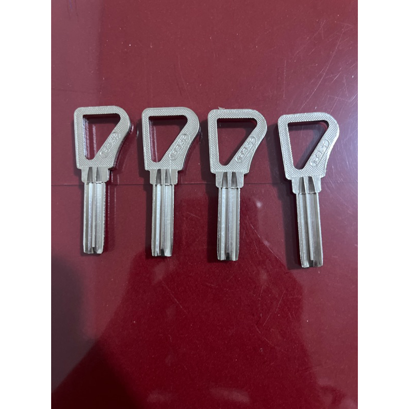 MULTILOCK with 2 canals triangular head(10pcs for 300) | Shopee Philippines