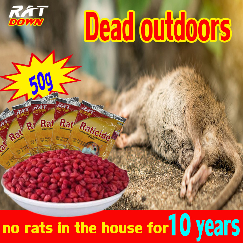 Rats Eating Bait But Not Dying