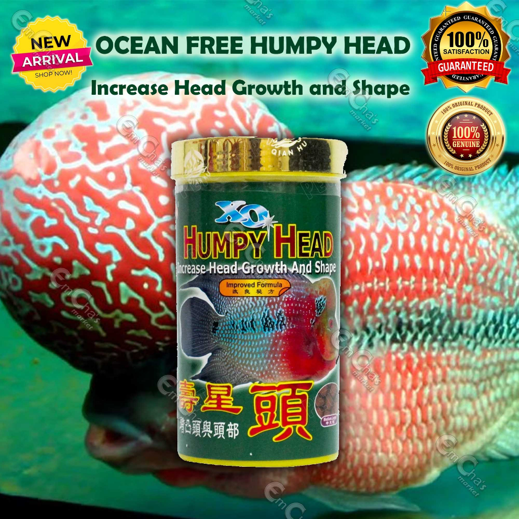 Aquarium Needs OCEAN-FREE HUMPY HEAD 100g(Green Canister)Flowerhorn ...