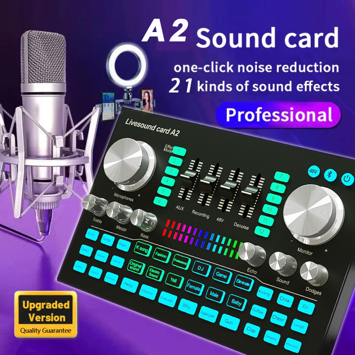 RAYHAYES Bluetooth A2 Live Sound Card Set With Condenser Mic For Live ...