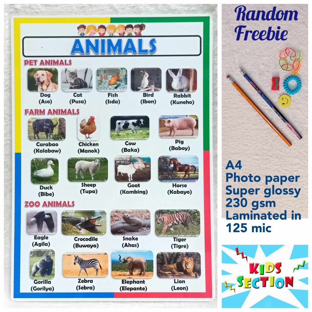 Laminated Educational Chart - Animals | Shopee Philippines