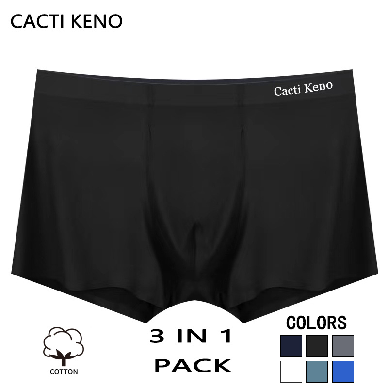 3Pcs Cacti Keno Seamless Boxer for Men Ice Silk Boxer Brief for Men ...