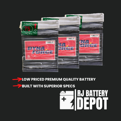 NS40 Dyna Force Low Maintenance (NO BATTERY SOLUTION) | Shopee Philippines