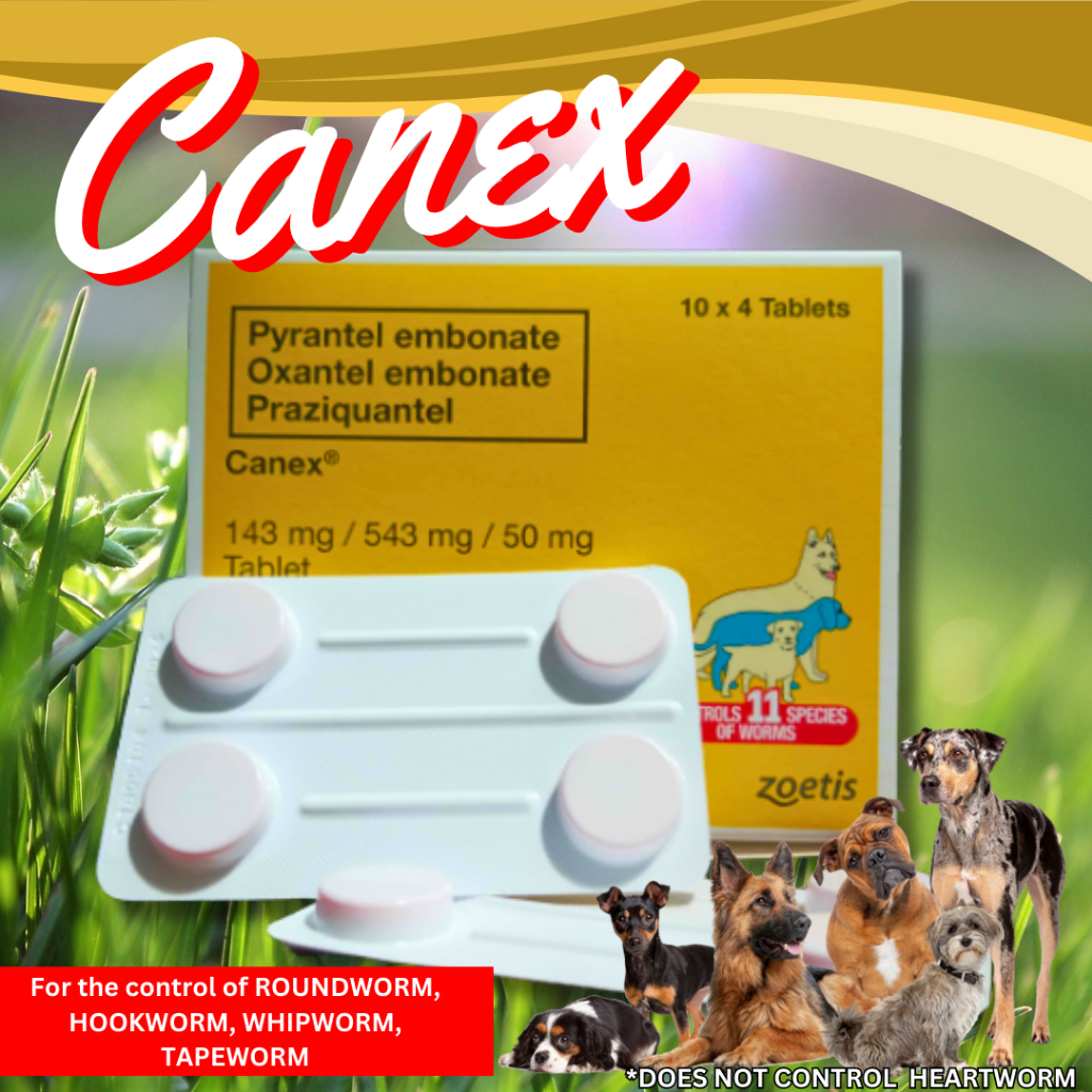 Zoetis CANEX Dewormer Tablets for Dogs (sold by 4 tablets per sheet ...