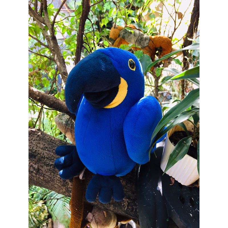 Realistic Bird Plush Toys | Shopee Philippines
