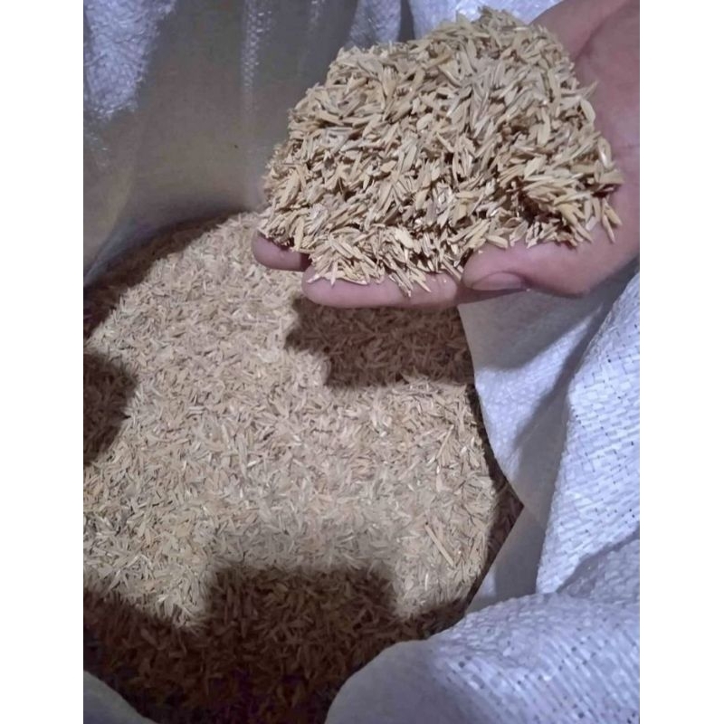 2kilo Rice Hull / IPA ng Palay for Plants and Soil and livestock ...