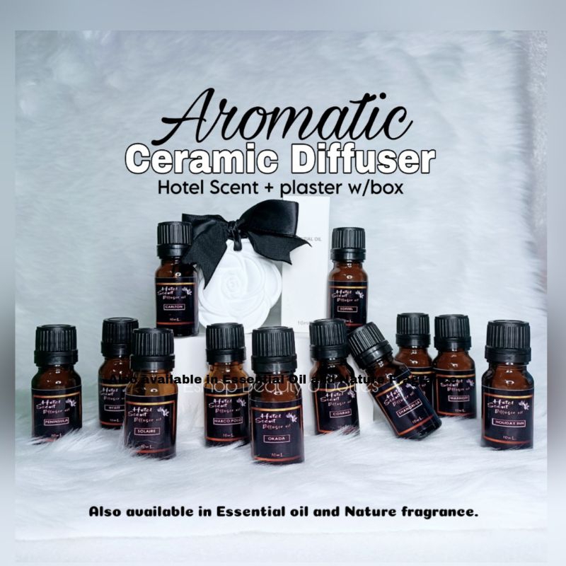 Ceramic Diffuser (plaster + 10ml hotel scent) | Shopee Philippines