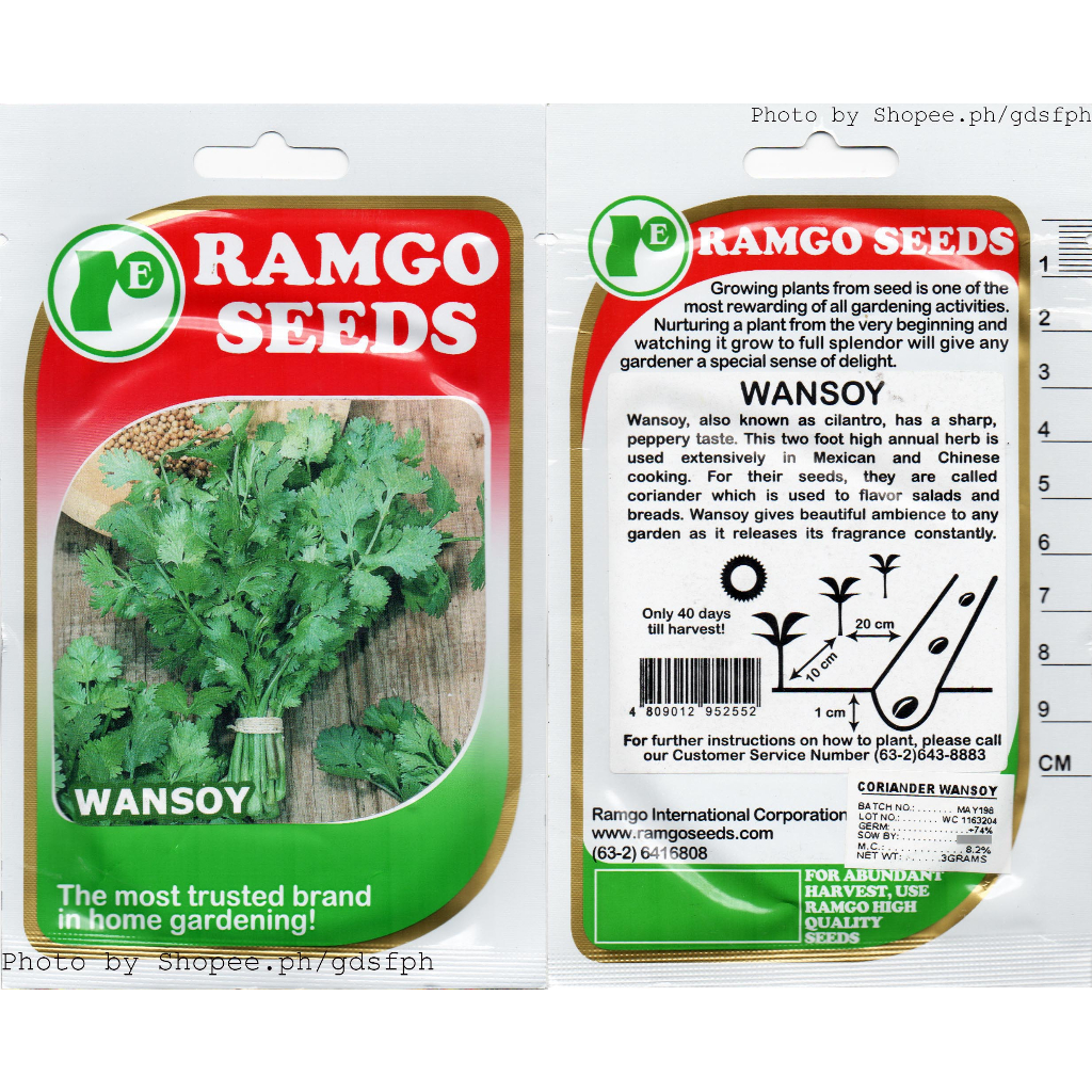Ramgo RPO Seeds Coriander Wasoy 3g (Original Pack) GDSFPH_S4 | Shopee ...