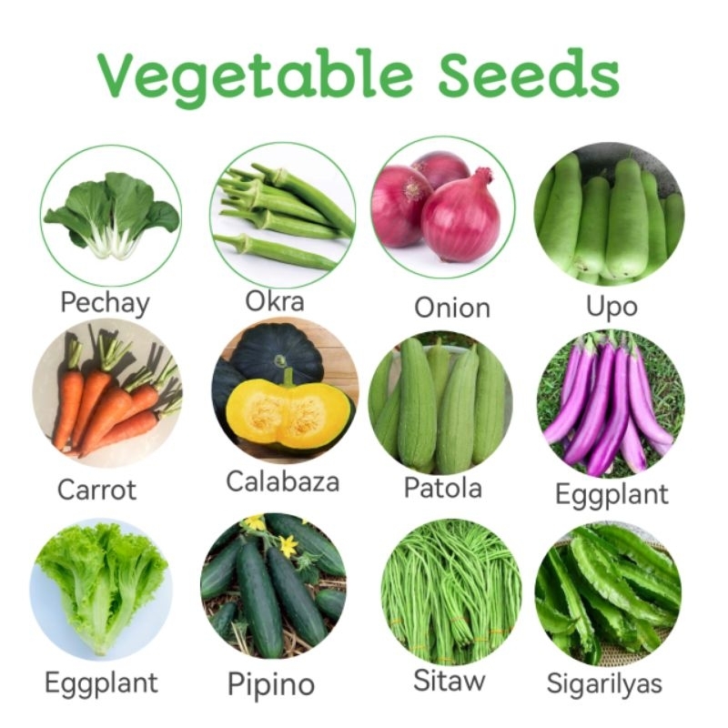 ALL VEGETABLE SEEDS Here | Shopee Philippines