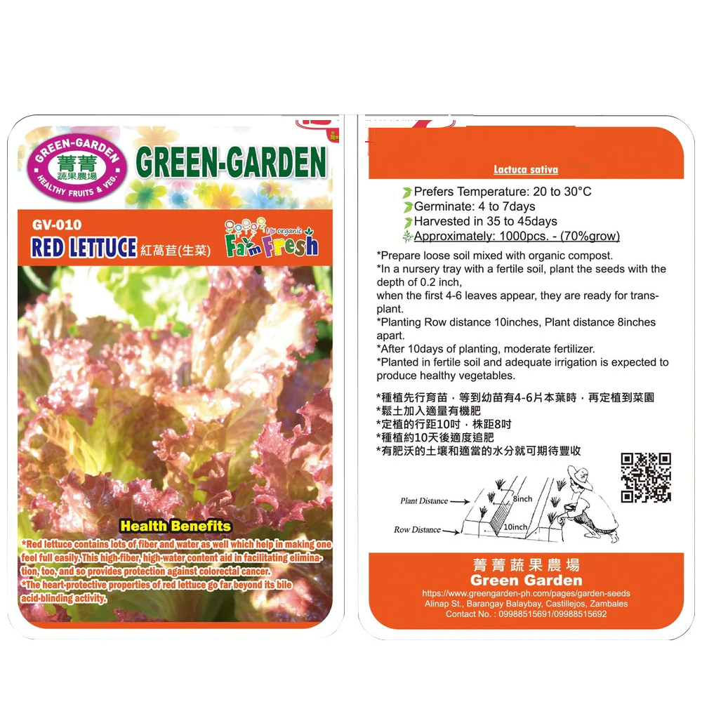 Ramgo & Yates Lettuce Seeds - Sold per Pack per Variety KECORP_S1 ...