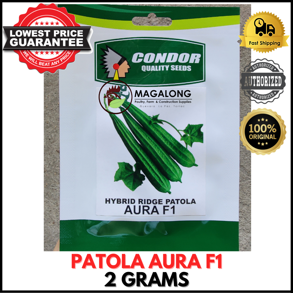 CONDOR SEEDS - PATOLA - HYBRID RIGDE PATOLA AURA F1 SEEDS - 2 GRAMS ...