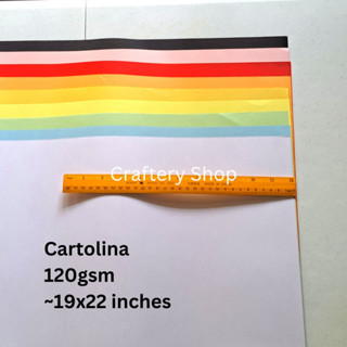 Cartolina Size 120gsm Approx. 19x22 inches 3 PCS | Shopee Philippines