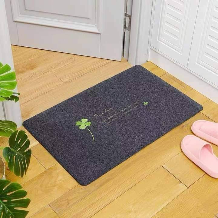 FAMILIFE 1pc Dirt Trapper Floormat Bedroom Carpet Elegant Looking Water ...