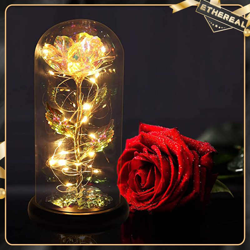LED Rose Valentines Day Gifts Women Rainbow Led Galaxy Rose in Glass ...