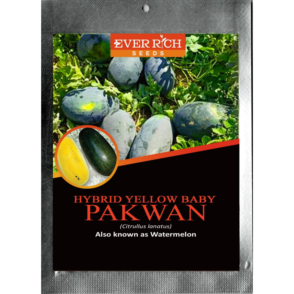 PAKWAN/Watermelon ------ EVER RICH SEEDS #HighQualitySeeds | Shopee ...