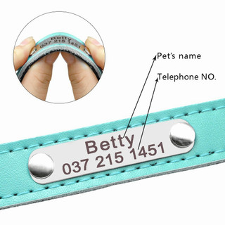 Durable Personalized Dog Collar Thickened Pet ID Collar Customized for ...