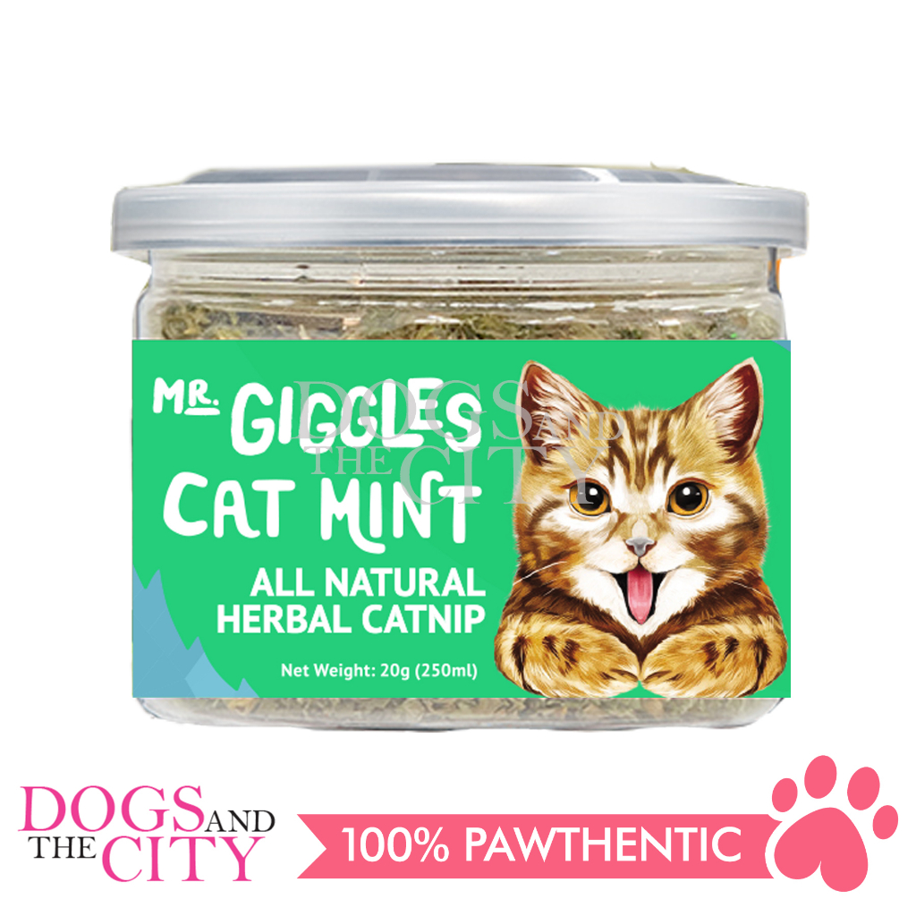 Mr. Giggles Cat Mint 20g/250ml Catnip All Natural No Additives for Cats ...