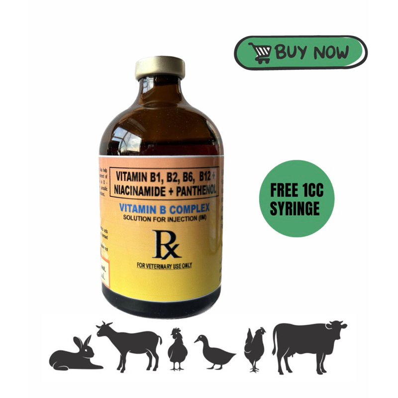 VITAMIN B COMPLEX PLAIN 100 ML FOR ANIMALS | VETGEN VETERINARY PRODUCTS ...