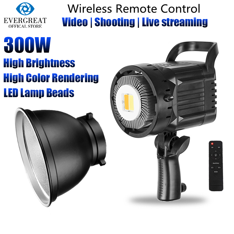 300W Professional Studio Flash Light Strobe Studio lighting for ...