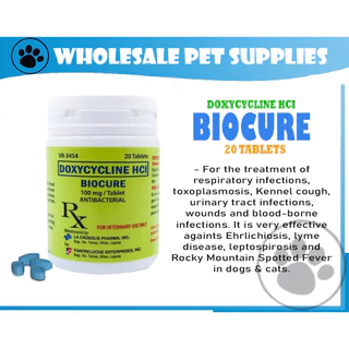biocure - Best Prices and Online Promos - Feb 2025 | Shopee Philippines