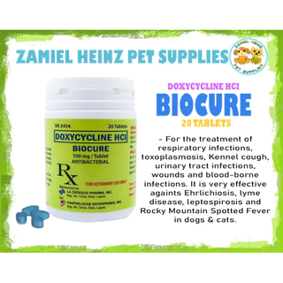biocure - Best Prices and Online Promos - Aug 2024 | Shopee Philippines