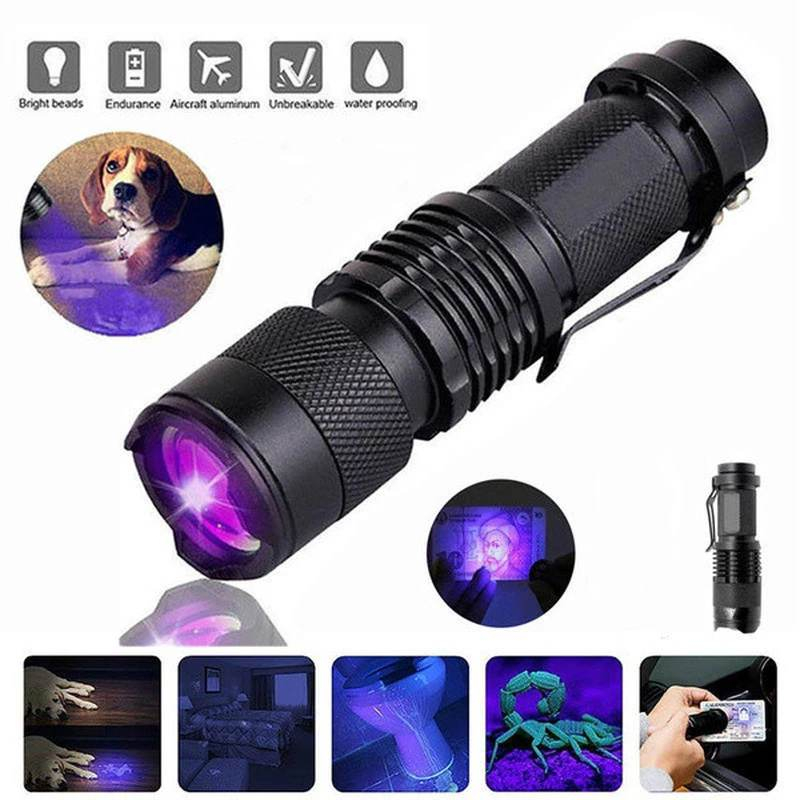LED Light Money Detector UV Light Waterproof Outdoor Torch UV ...