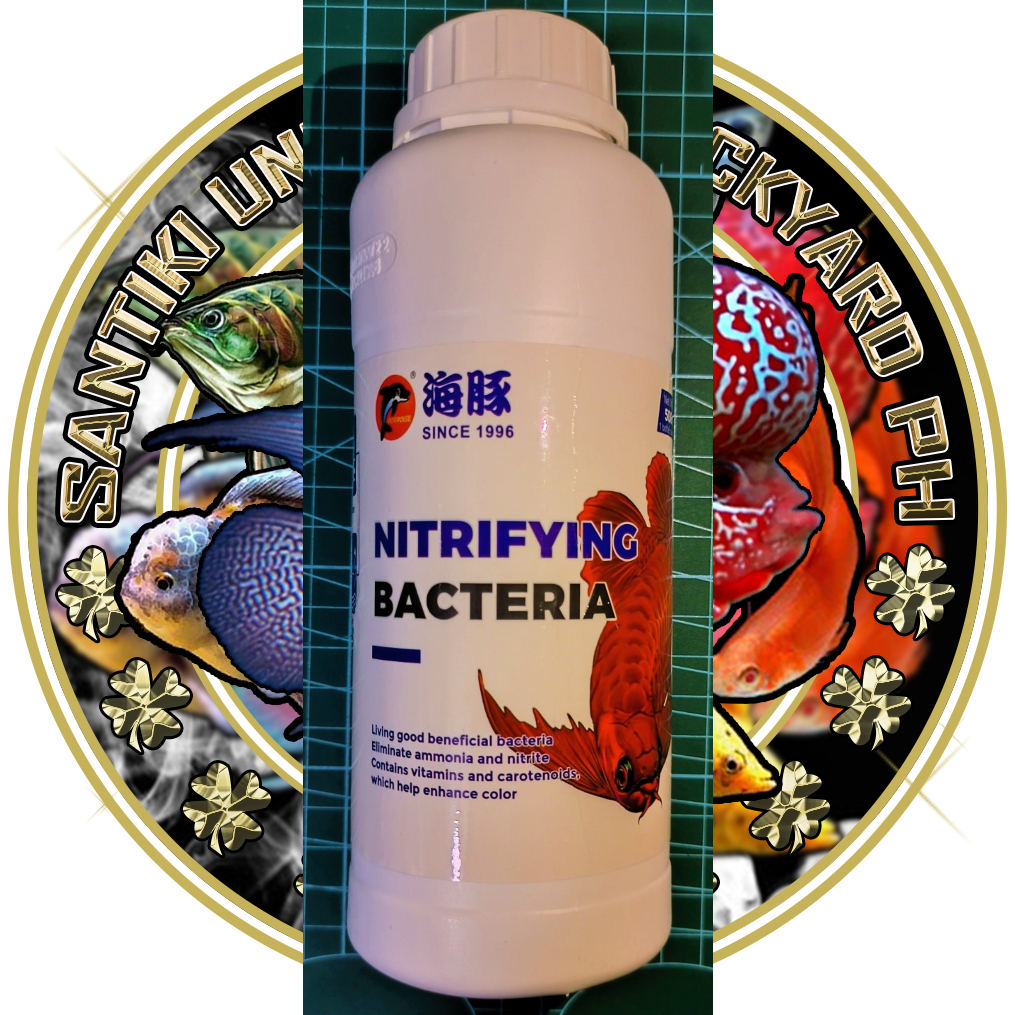 SafeStart - Nitrifying Bacteria 500ml | Shopee Philippines
