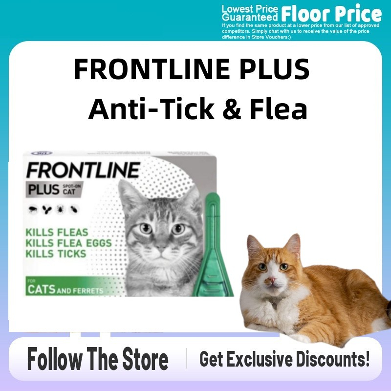 Frontline Plus for Cats Anti Ticks and Fleas Control for Cats Fast ...