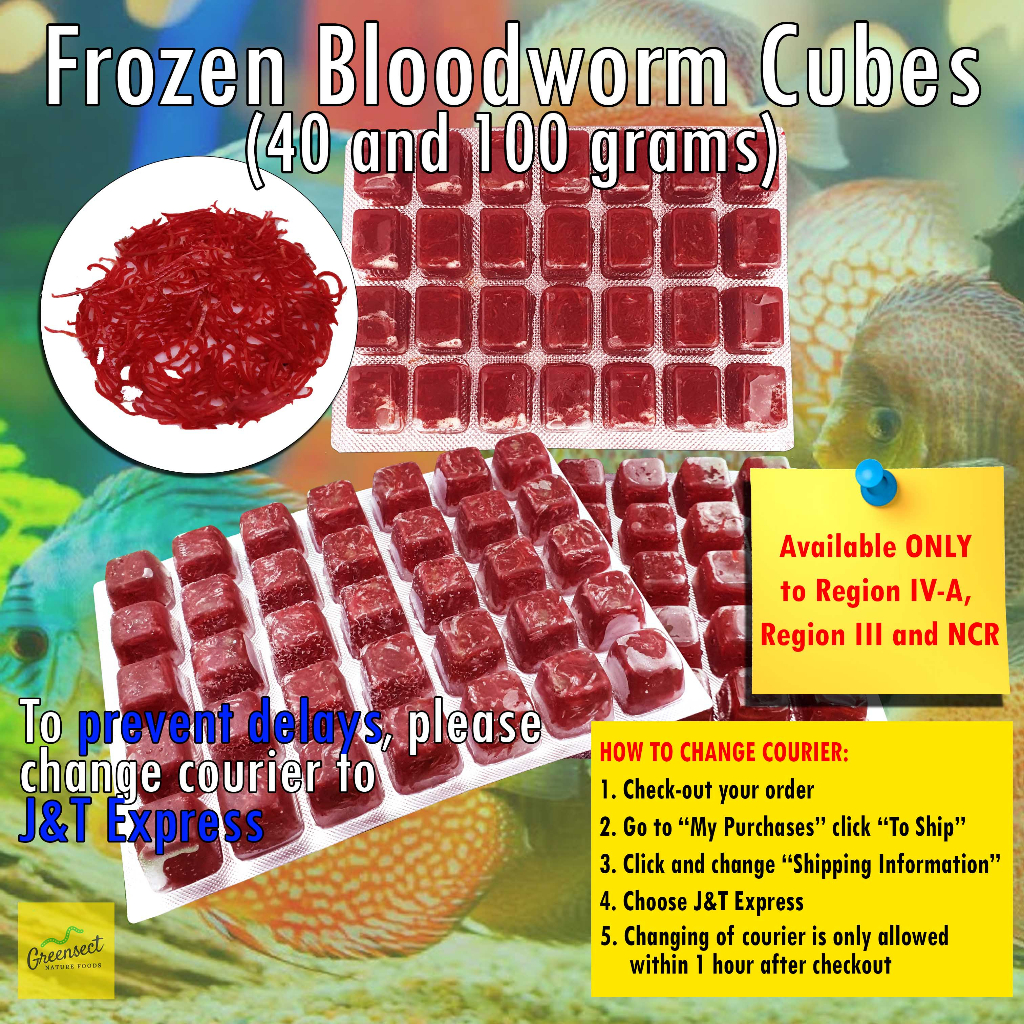 FROZEN BLOODWORM CUBES (WHOLESALE) fish food pet food | Shopee Philippines