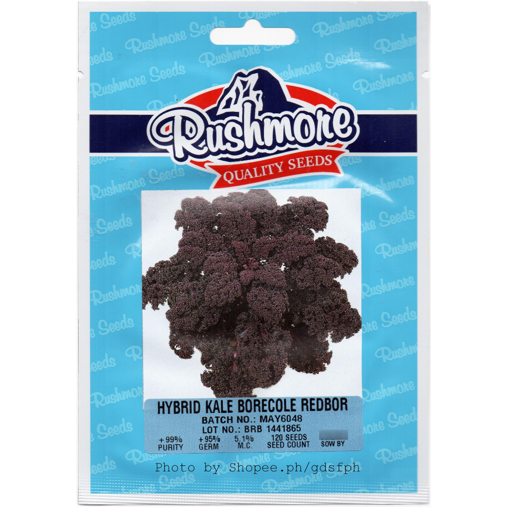 Rushmore Seeds Hybrid Kale Borecole Redbor 120 SEEDS KECORP_S1 | Shopee ...