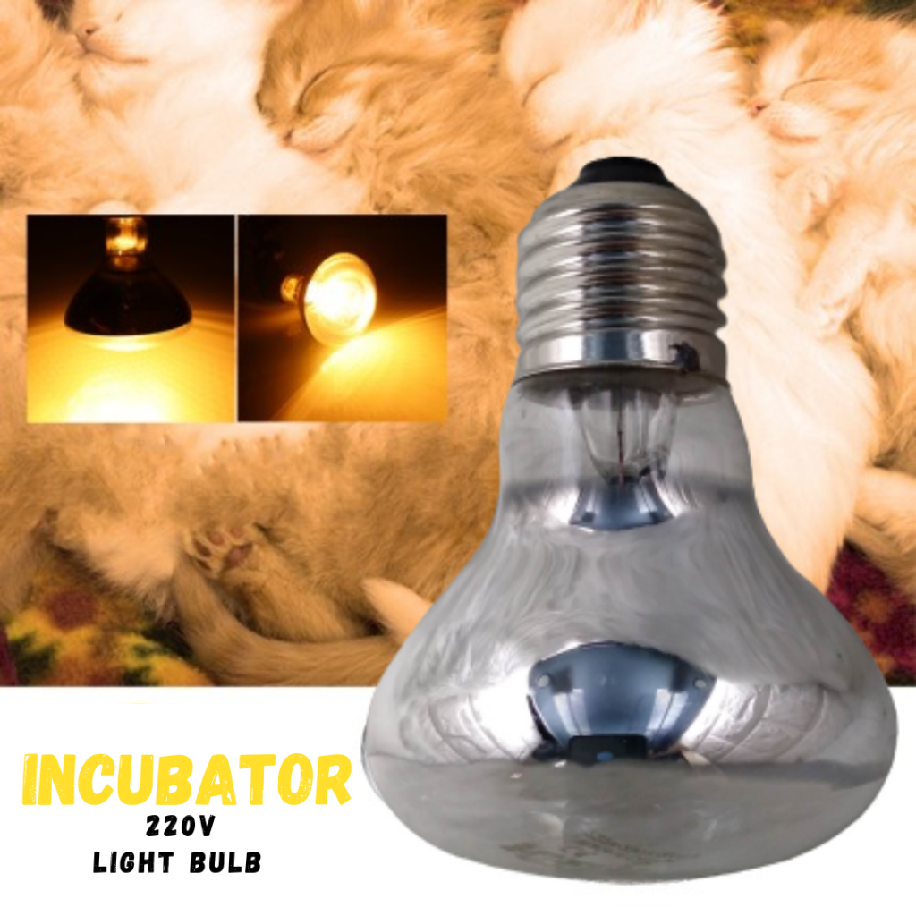 220V FUZIN Poultry Heat Incubator Light E27 Socket Type Light Bulb ...