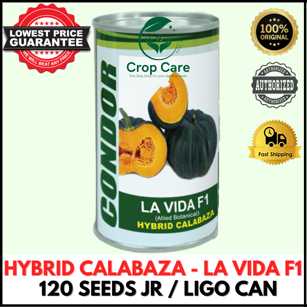 CONDOR SEEDS - CALABASA SEEDS - LA VIDA F1 HYBRID 120 Seeds - JR CAN ...