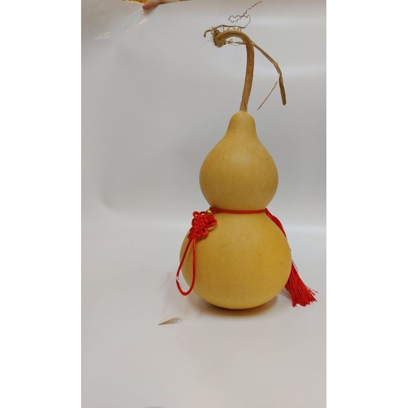 LARGE Wulou Real Large Wulou Giant Wulou Fengshui Large Natural WuLou ...