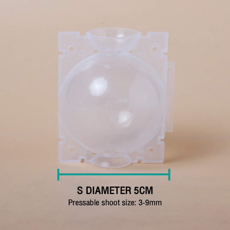 Plant high-pressure propagation box cuttings grafted rooting box tree ...