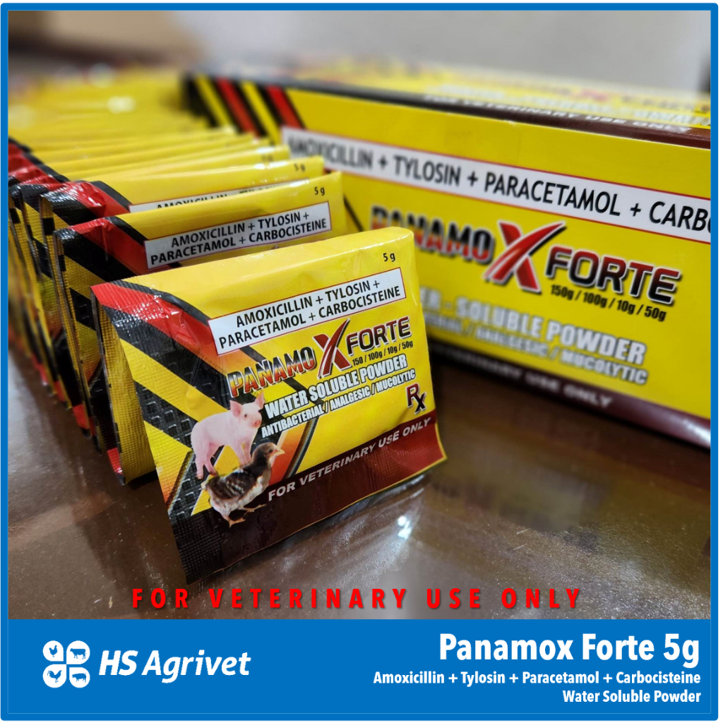 Panamox Forte 5 grams | Shopee Philippines
