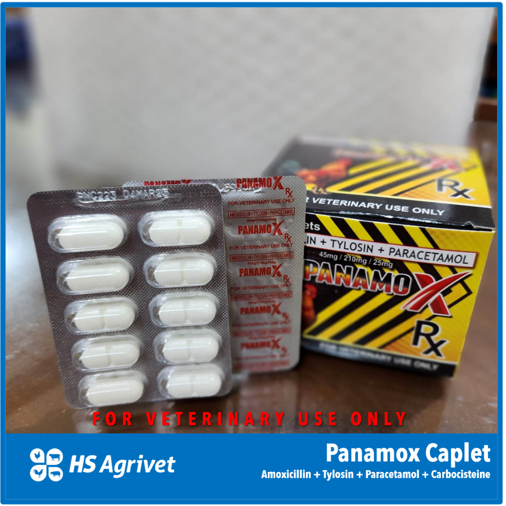 Panamox Caplet (by pad of 10) | Shopee Philippines