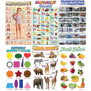PAPER CHART , WALL CHART , EDUCATIONAL CHART , HOME SCHOOL CHART ...
