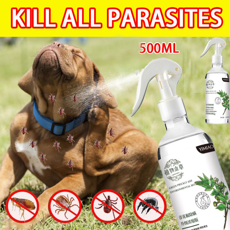 Pet Anti-flea And Mite Spray 500ML Anti Garapata Dog Spray For Tick And ...