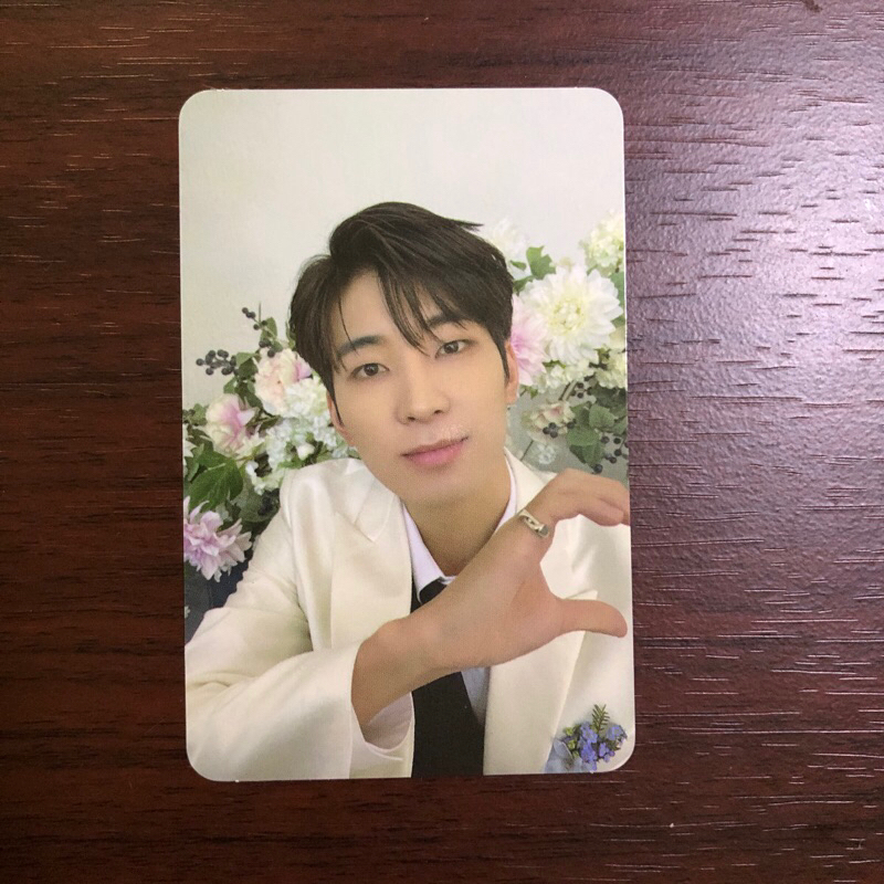 Seventeen Wonwoo FML Photocards | Shopee Philippines